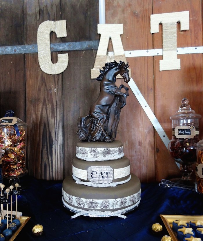 Kara s Party Ideas Western Themed 55th Birthday Party With Such Cute 