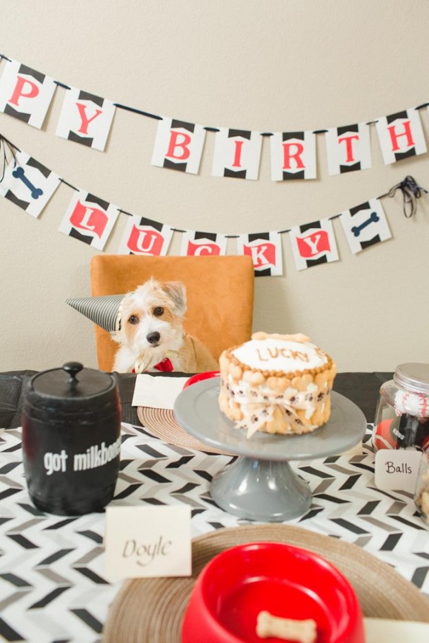 Kara s Party Ideas Doggy Birthday Party Ideas Planning Ideas Supplies kara-s-party-ideas-doggy-birthday-party-ideas-planning-ideas-supplies