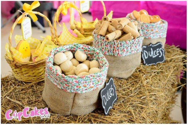 Kara's Party Ideas Baby Chick 1st Birthday Party | Kara's Party Ideas