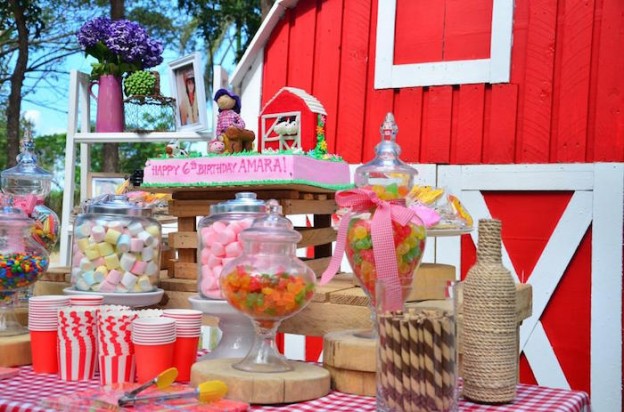 Kara's Party Ideas Chic Barnyard Birthday Party | Kara's Party Ideas