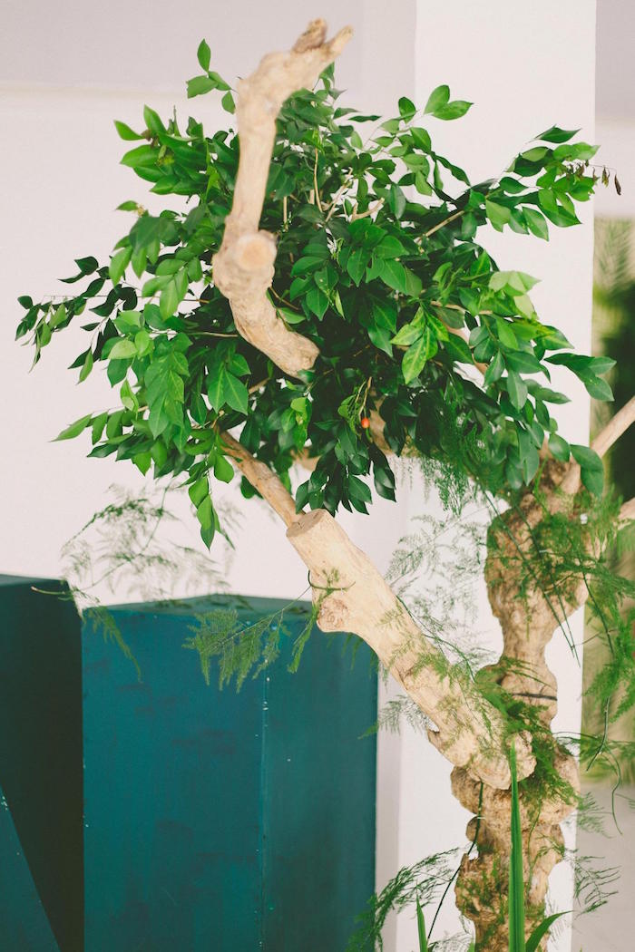 Kara's Party Ideas Modern Woodland Themed Birthday Party | Kara's Party ...