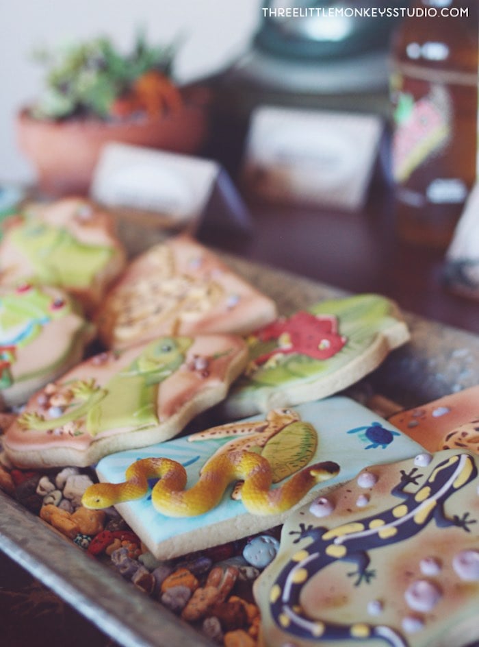 Kara's Party Ideas Reptiles & Amphibians Themed Birthday Party | Kara's ...