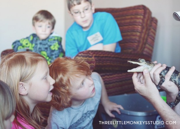 Kara's Party Ideas Reptiles & Amphibians Themed Birthday Party | Kara's ...