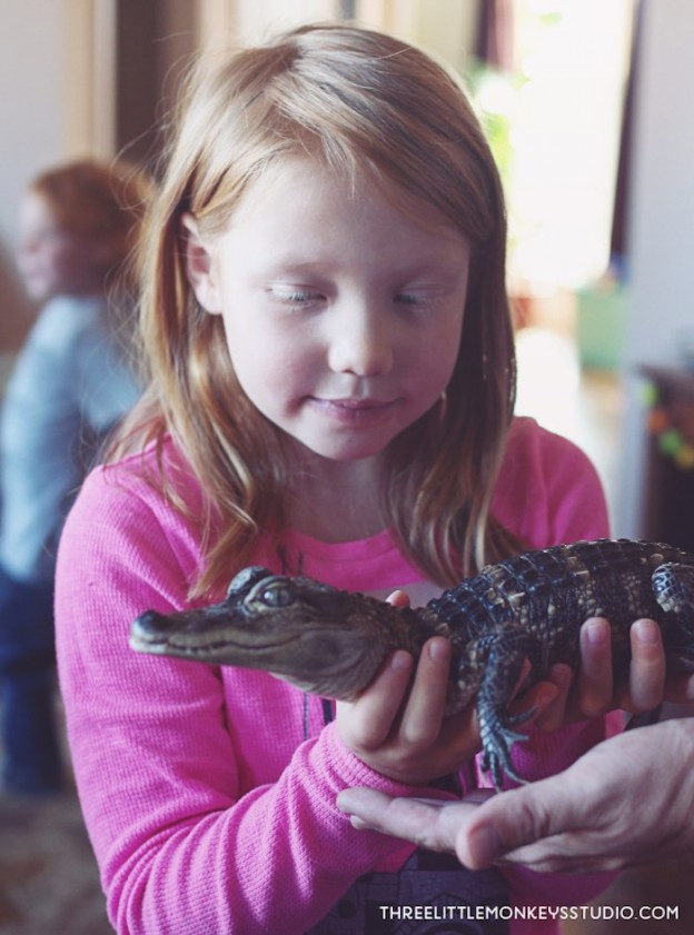 Kara's Party Ideas Reptiles & Amphibians Themed Birthday Party | Kara's ...
