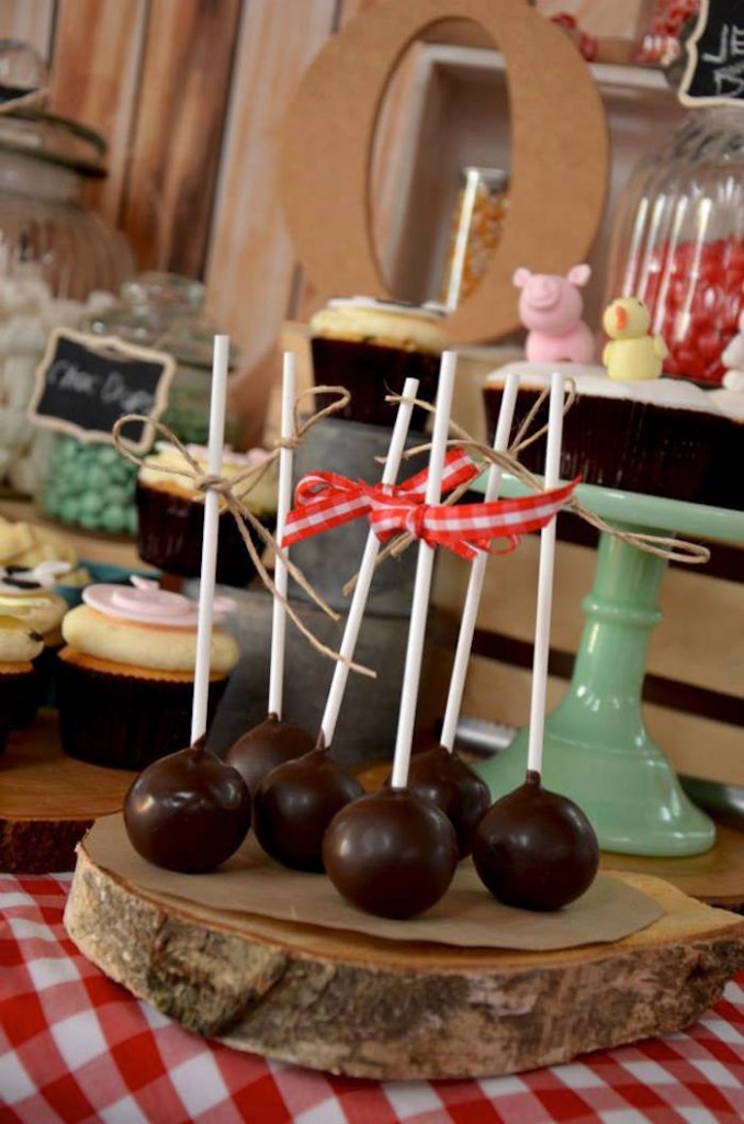 Kara's Party Ideas Rustic Barnyard 1st Birthday Party | Kara's Party Ideas