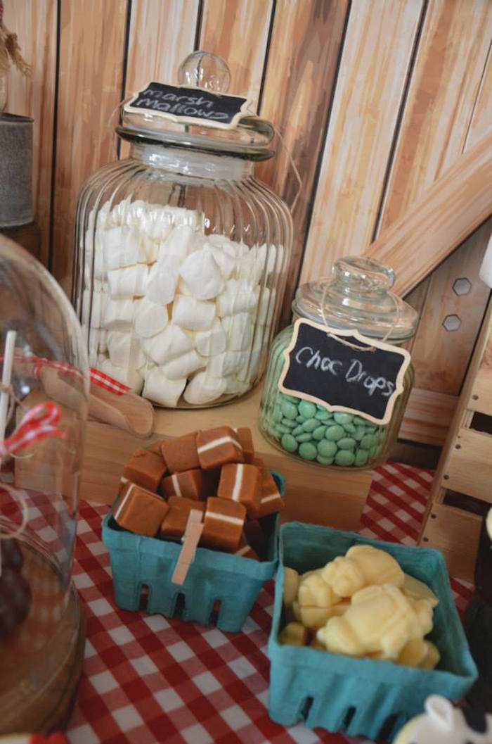 Kara's Party Ideas Rustic Barnyard 1st Birthday Party | Kara's Party Ideas