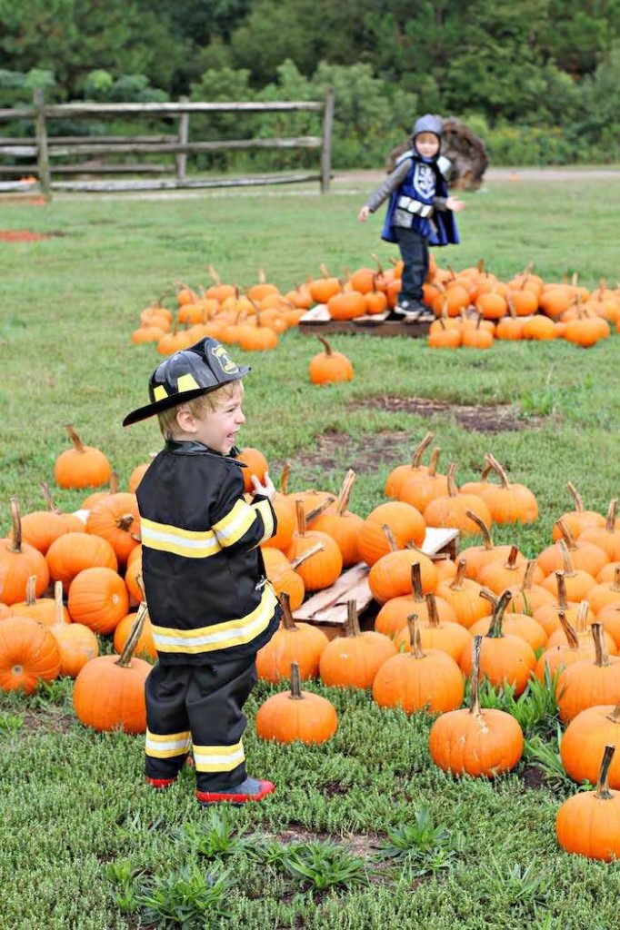 Kara's Party Ideas Halloween Hayride Party | Kara's Party Ideas
