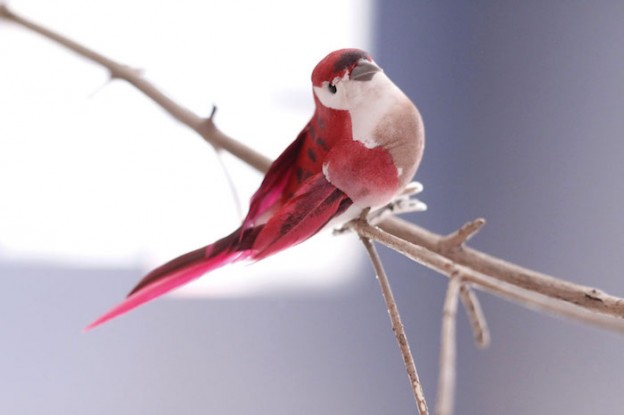 Kara's Party Ideas Bird Watching Nature Themed Birthday Party | Kara's ...