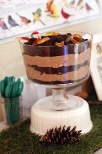 Kara's Party Ideas Bird Watching Nature Themed Birthday Party | Kara's ...