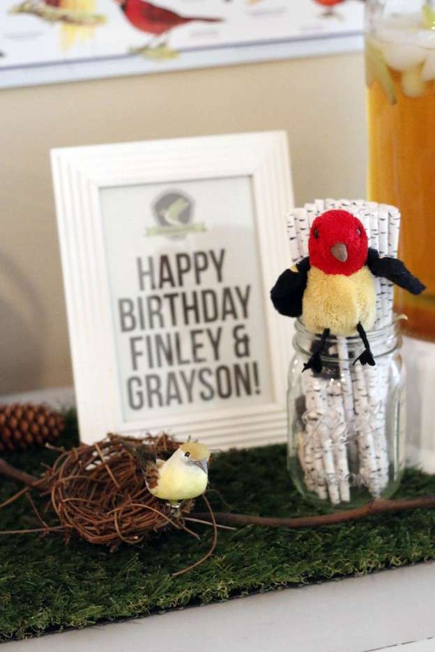 Kara's Party Ideas Bird Watching Nature Themed Birthday Party | Kara's ...