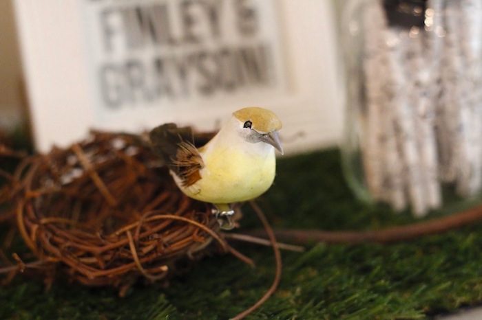 Kara's Party Ideas Bird Watching Nature Themed Birthday Party | Kara's ...