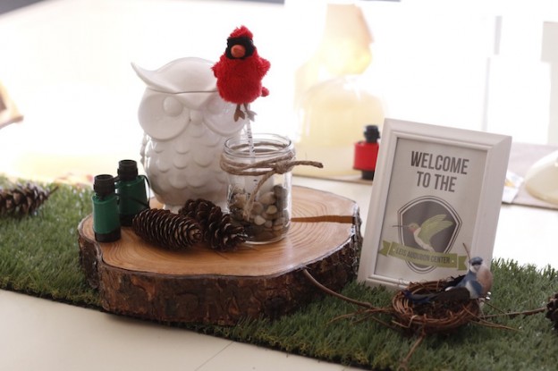 Kara's Party Ideas Bird Watching Nature Themed Birthday Party | Kara's ...