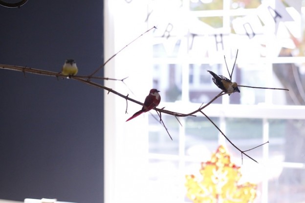 Kara's Party Ideas Bird Watching Nature Themed Birthday Party | Kara's ...