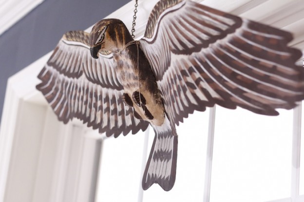 Kara's Party Ideas Bird Watching Nature Themed Birthday Party | Kara's ...