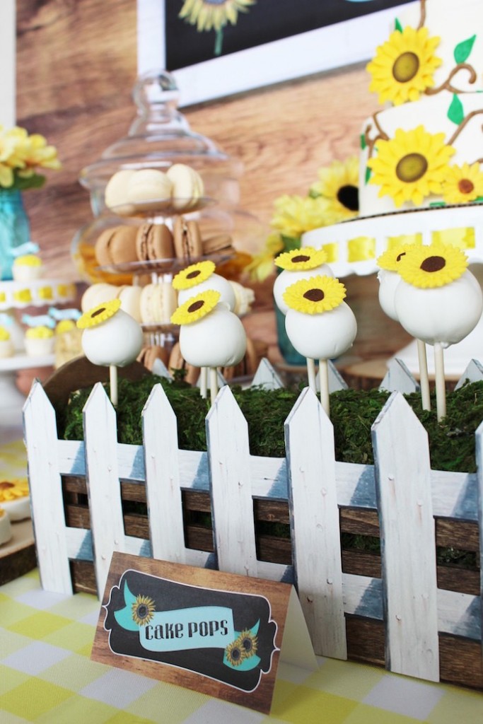 Kara's Party Ideas Country Fair Graduation Party | Kara's Party Ideas