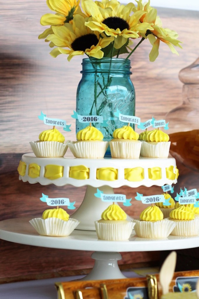 Kara's Party Ideas Country Fair Graduation Party | Kara's Party Ideas