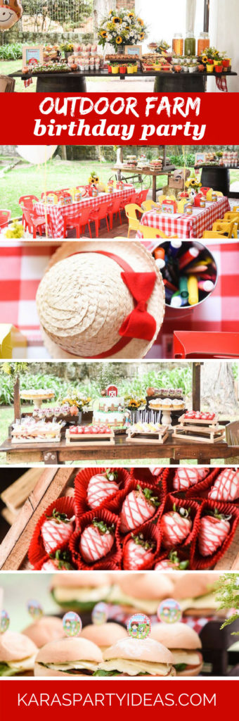 Kara's Party Ideas Outdoor Farm Birthday Party | Kara's Party Ideas