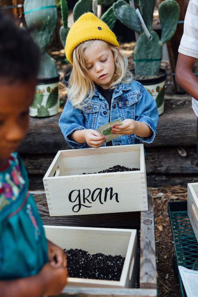 Kara's Party Ideas Fall Planting Party | Kara's Party Ideas