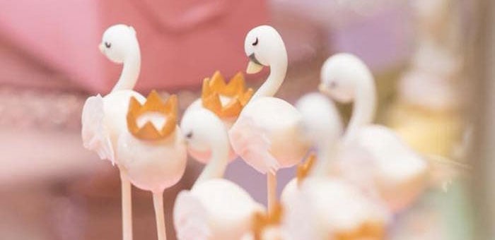 Kara's Party Ideas Dreamy Swan Birthday Party | Kara's Party Ideas