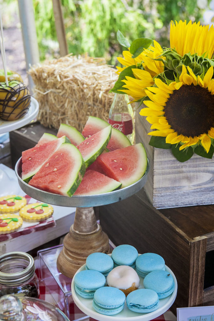 Kara's Party Ideas Rustic County Fair Birthday Party | Kara's Party Ideas