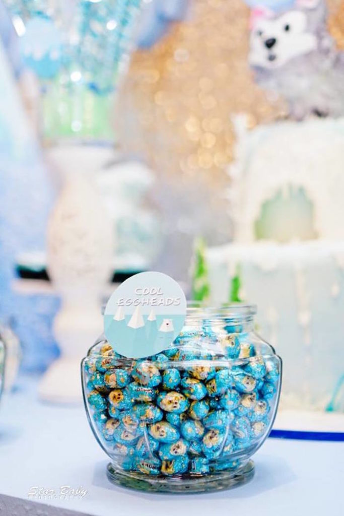 Kara's Party Ideas Arctic Animal Birthday Party | Kara's Party Ideas