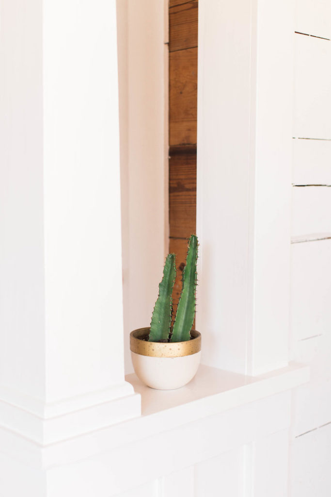 Kara's Party Ideas Southwestern Cactus Baby Shower | Kara's Party Ideas