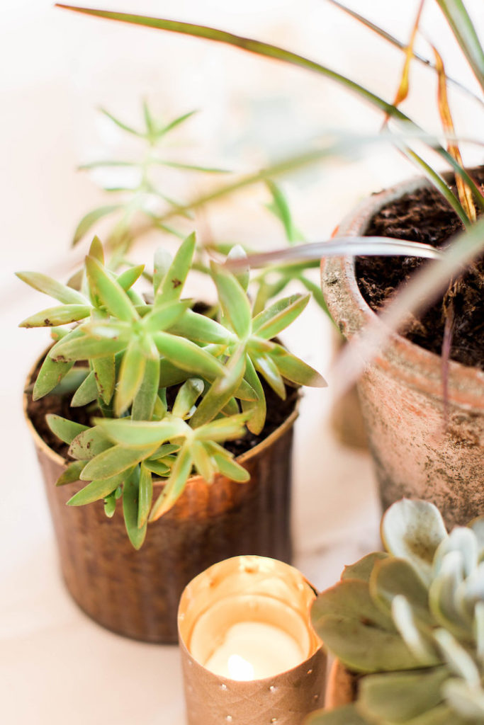 Kara's Party Ideas Southwestern Cactus Baby Shower | Kara's Party Ideas
