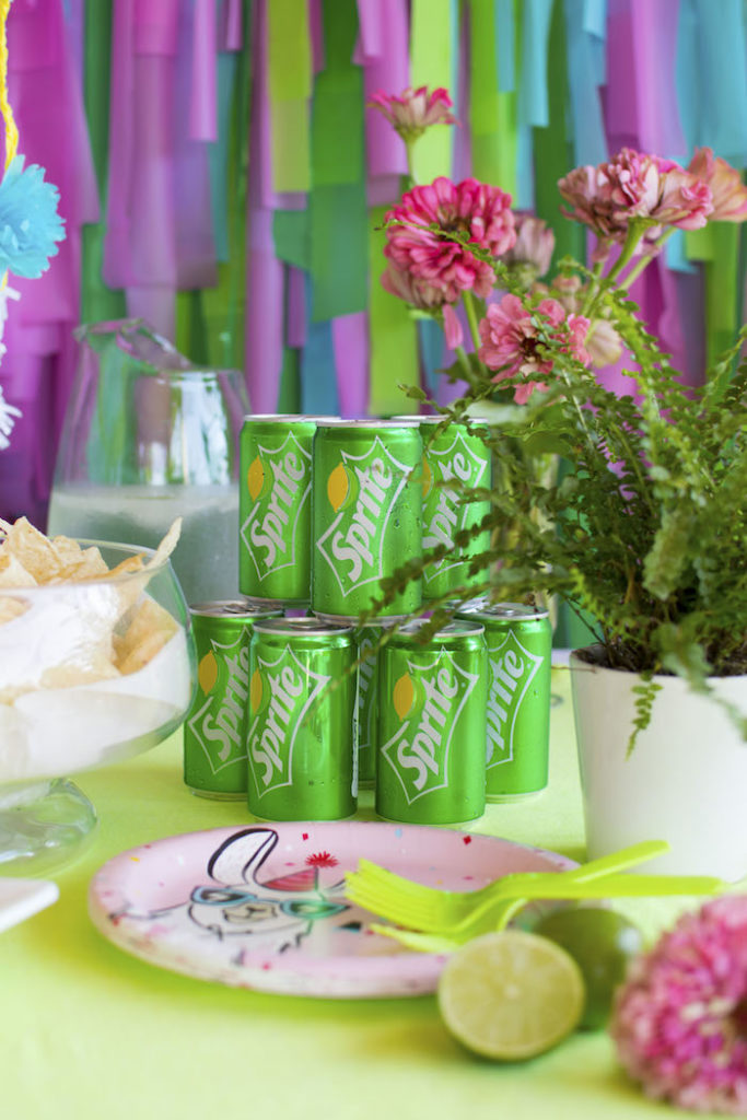 Kara's Party Ideas Alpaca Birthday Fiesta | Kara's Party Ideas