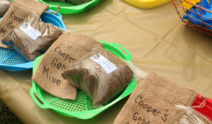Kara's Party Ideas Gem Mining Birthday Party | Kara's Party Ideas
