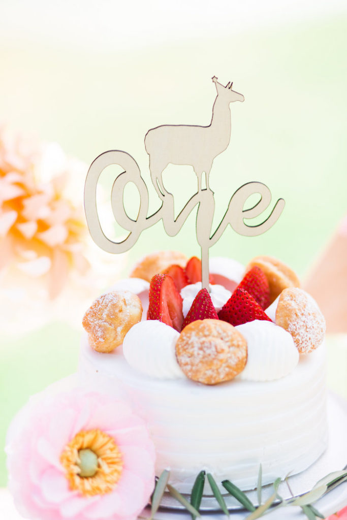 Kara's Party Ideas Llama First Birthday Party | Kara's Party Ideas