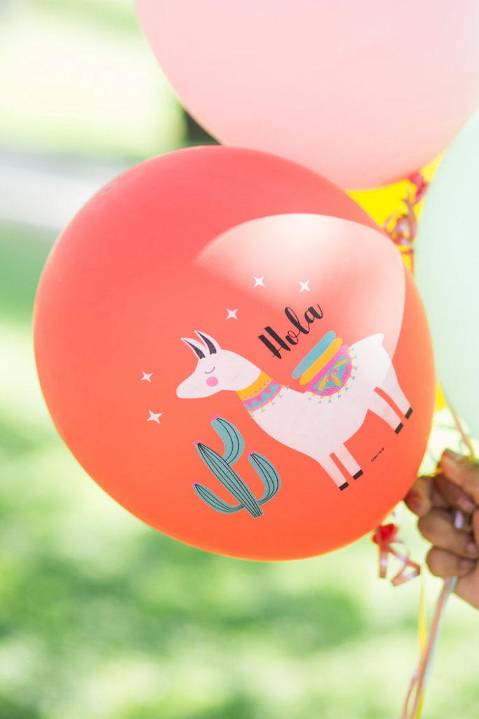 Kara's Party Ideas Llama First Birthday Party | Kara's Party Ideas