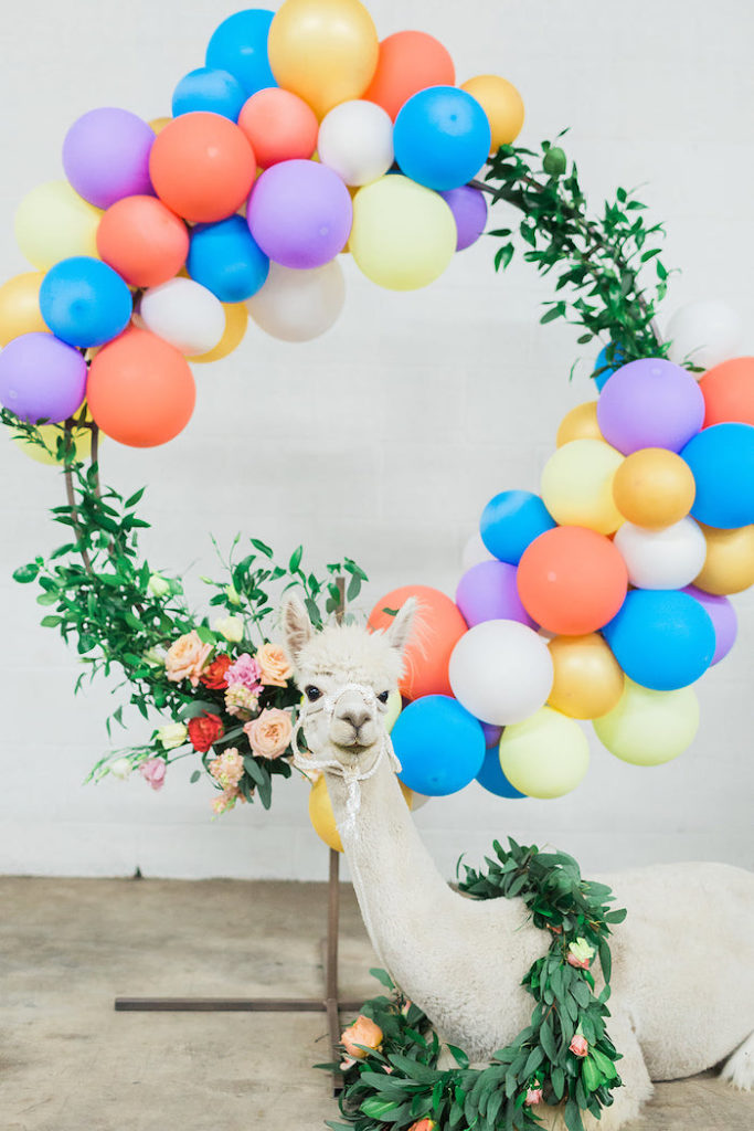 Kara's Party Ideas Pretty Alpaca Party | Kara's Party Ideas