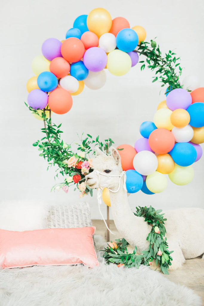 Kara's Party Ideas Pretty Alpaca Party | Kara's Party Ideas