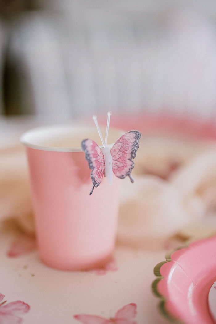 Kara's Party Ideas Butterfly Party | Kara's Party Ideas