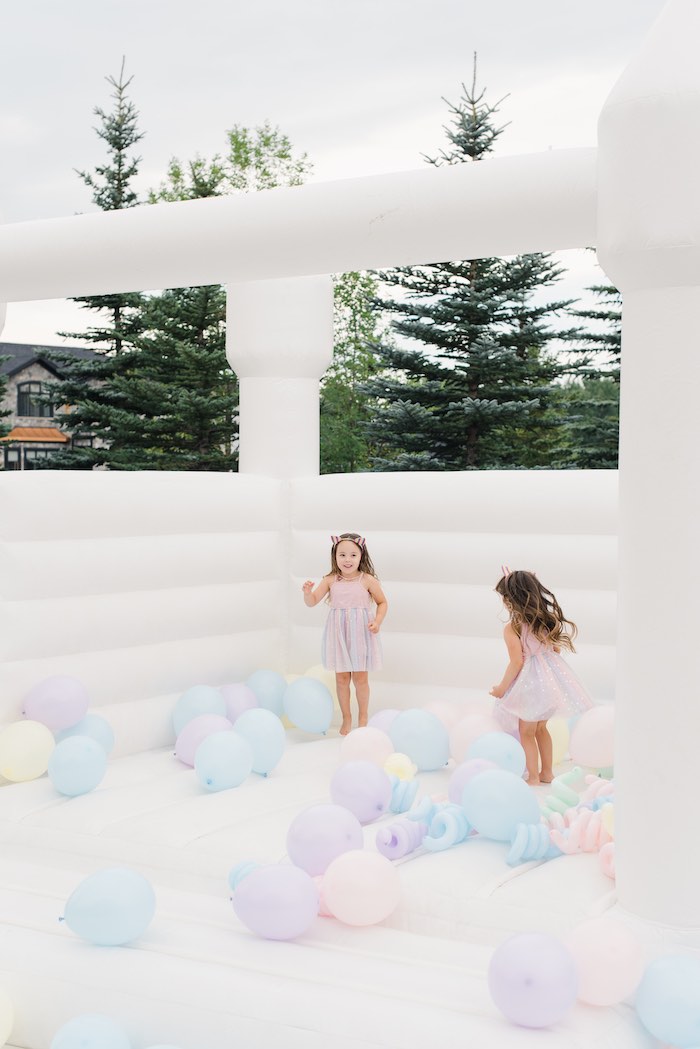 Kara's Party Ideas Pastel Candyland Twin Birthday Party | Kara's Party ...