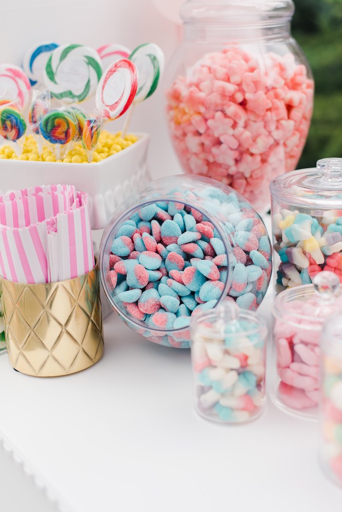 Kara's Party Ideas Pastel Candyland Twin Birthday Party | Kara's Party ...