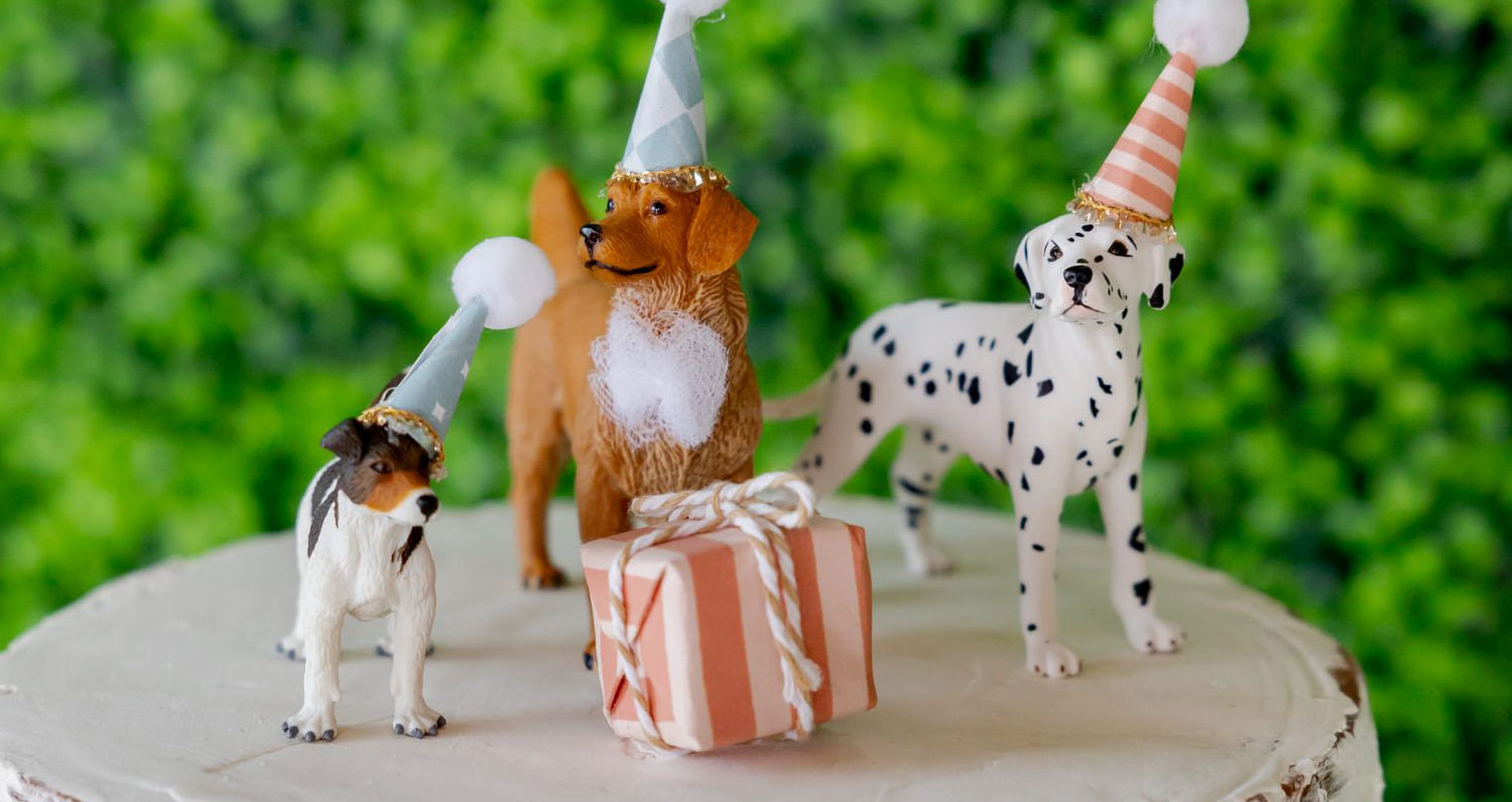 Kara's Party Ideas Unleash The Fun - Dog Themed Pawty | Kara's Party Ideas
